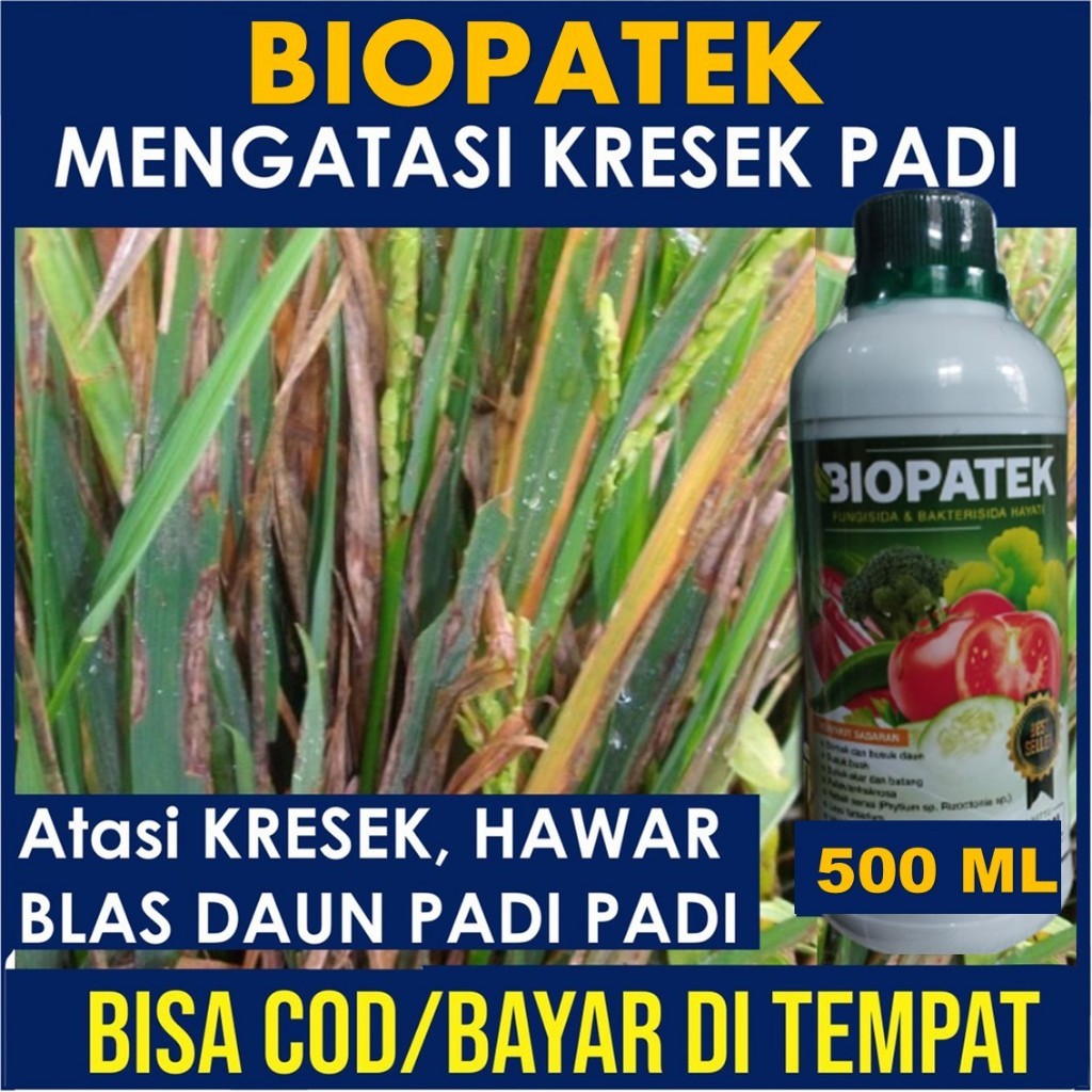 Jual OBAT KRESEK, HAWAR, BLAST PADI, BIOPATEK Fungisida Hayati Obat ...