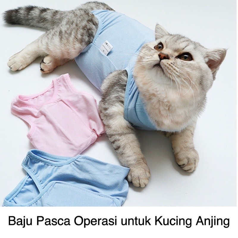 Jual Pakaian Pasca Operasi untuk Kucing dan Anjing - Baju Penyembuhan ...