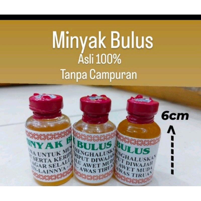 Jual Asli Kalimantan Minyak Bulus 30 ml | Shopee Indonesia