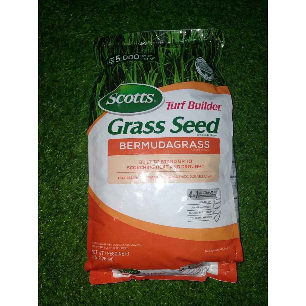 Jual benih rumput Scotts bermuda grass Kemasan Original | Shopee Indonesia