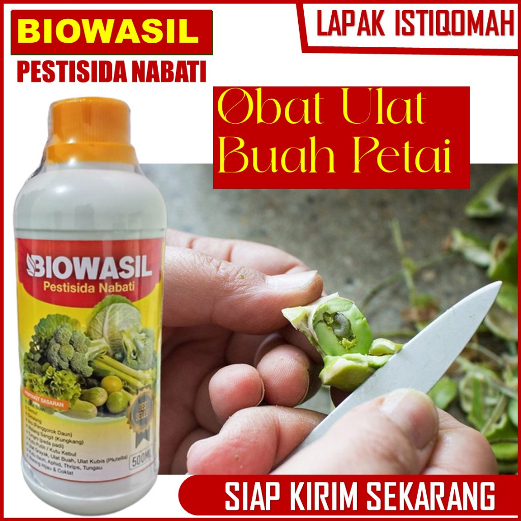 Jual Pestisida BIOWASIl 500 ML Pengendali Hama Ulat Petai / Pete ...