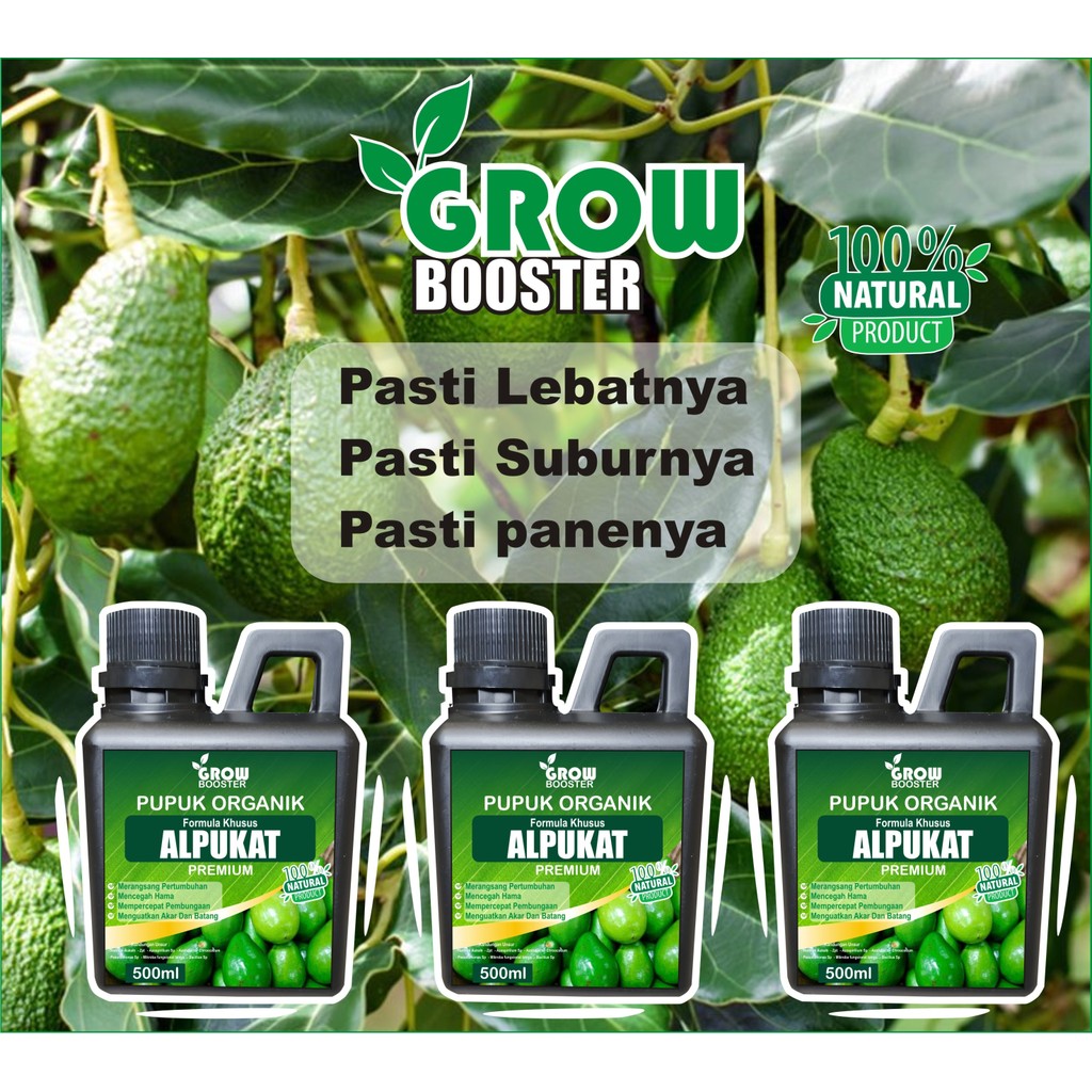 Jual Booster alpukat cair, pimicu berbuah, Pupuk Booster Alpukat ...