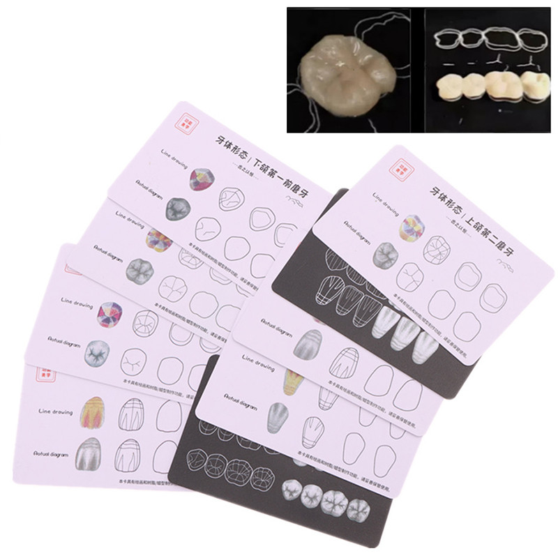 Jual Dental Composite Filling Practice Board Model Teeth Template ...