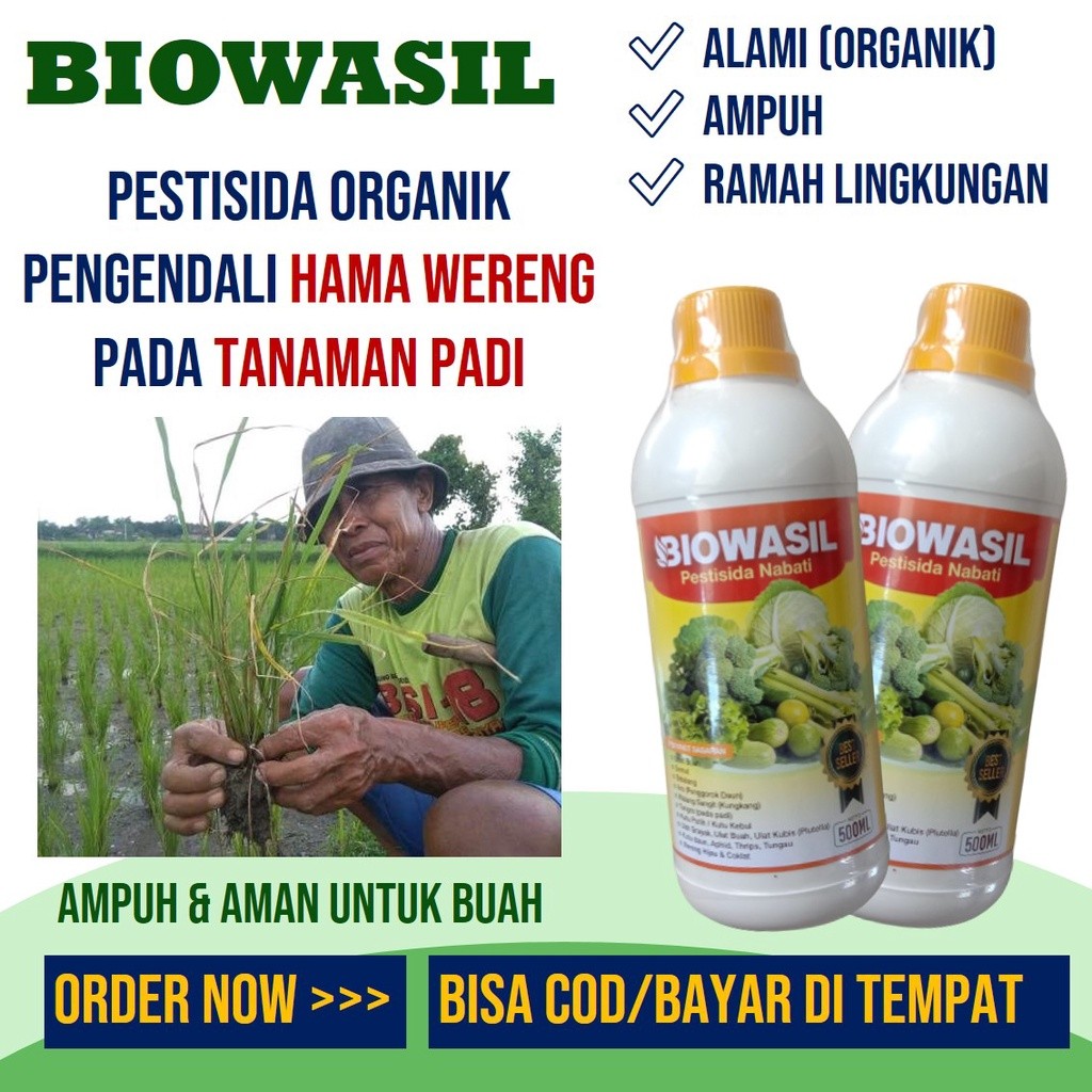 Jual PESTISIDA BIOWASIL - obat hama wereng paling ampuh, obat hama ...