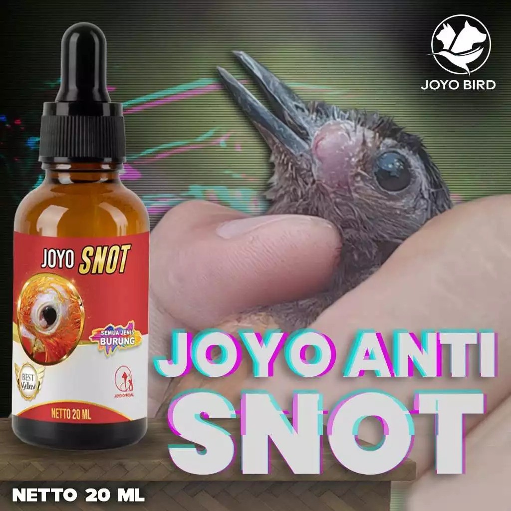 Jual OBAT SAKIT MATA | BULU SEKITAR MATA RONTOK | OBAT BURUNG MATA SNOT ...