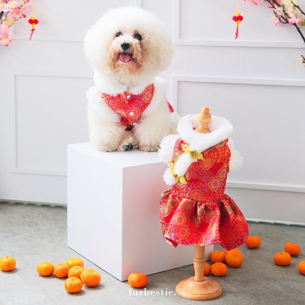 Jual Furbestie by Pomapoo - Baju Kucing dan Baju Anjing CNY Furry ...