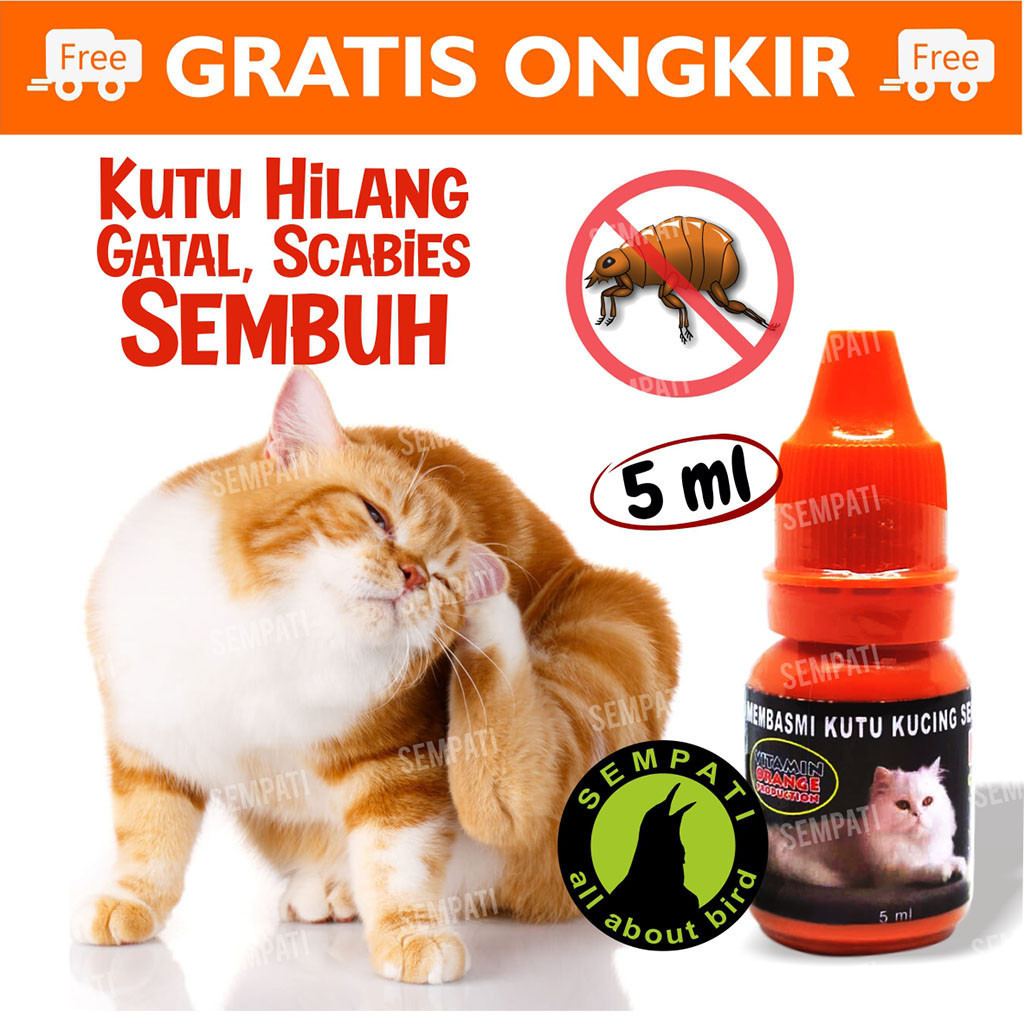 Jual SEMPATI Obat Kutu Kucing Anjing Magic Kutu 5 Ml Obat Kucing Tetes ...