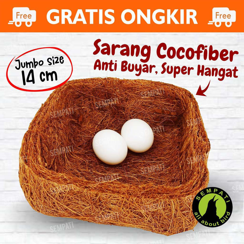 Jual SEMPATI SARANG SERABUT KELAPA KOTAK SUSUH KELAPA SERAT SARANG ...