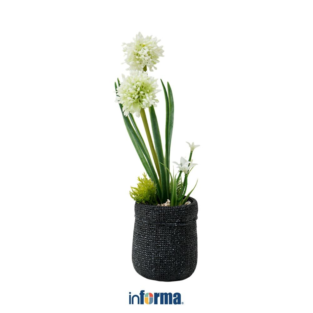 Jual Informa 10X10X22 cm Bunga Artifisial Star - Putih Bunga Hias ...