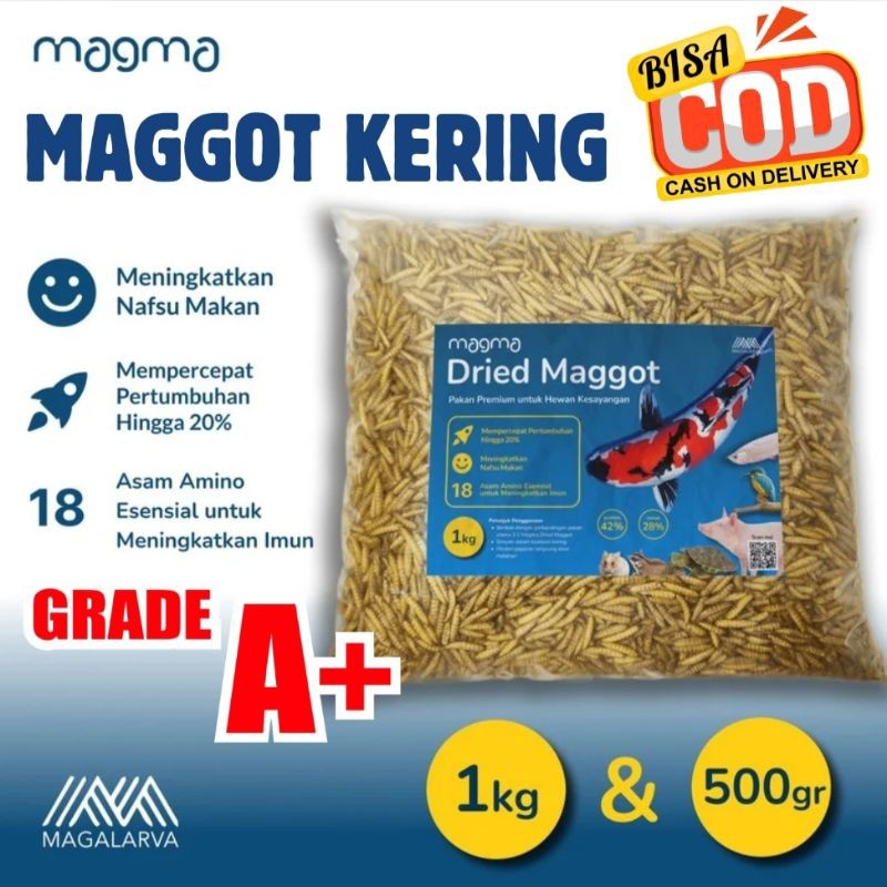 Jual Dried Magot Maggot BSF Kering 1kg Grade A+ Premium Pakan Ikan Hias ...