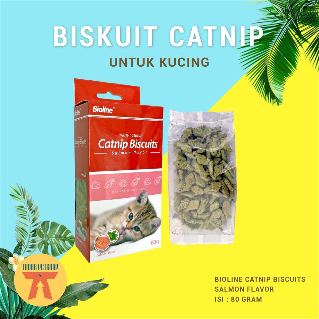 Jual SNACK BISKUIT Kucing MAGIC CATNIP BISCUIT SALMON 80 GRAM - CAT NIP ...