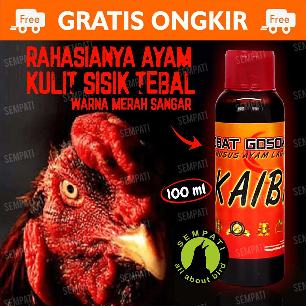 Jual SEMPATI Obat Gosok Ayam Jago Laga Burung Merpati Arak Kaiba Obati Luka Dalam Atau Luar Ayam ...