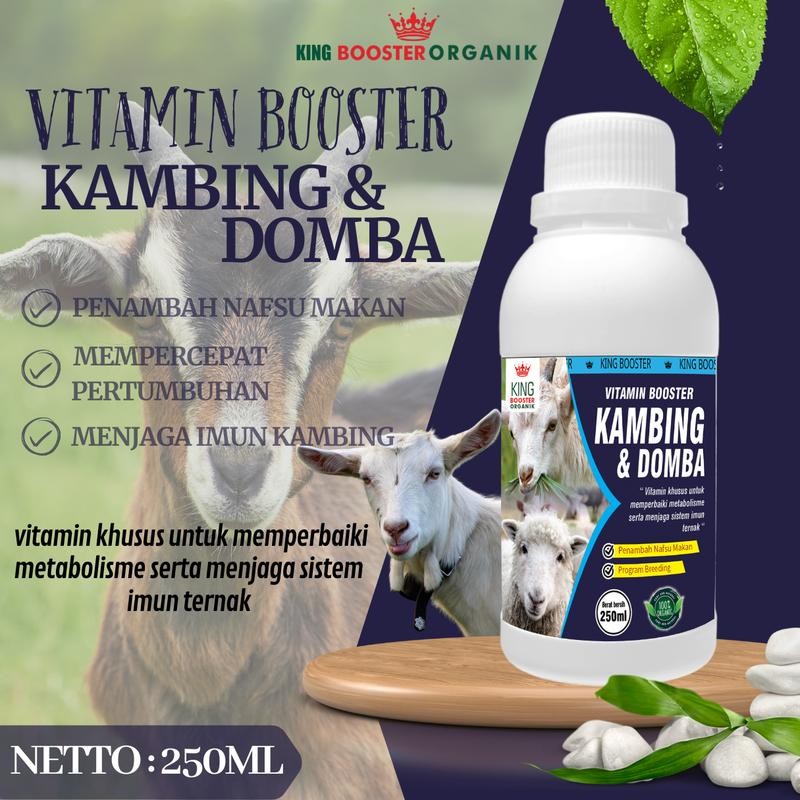 Jual VITAMIN Penggemuk Kambing 100% Vitamin Hewan Ternak Aman, VITAMIN ...
