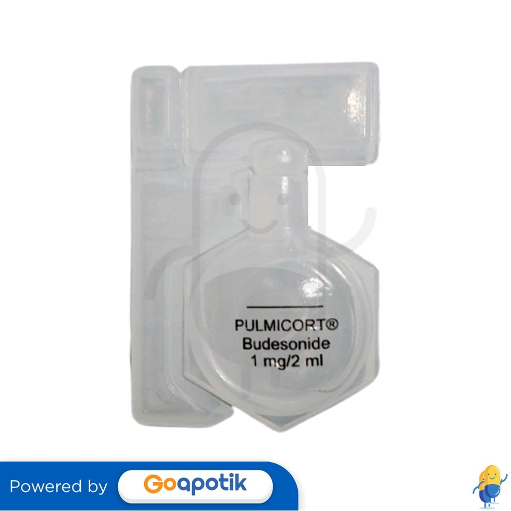 Jual Pulmicort 0,5 Mg/Ml Respules | Shopee Indonesia