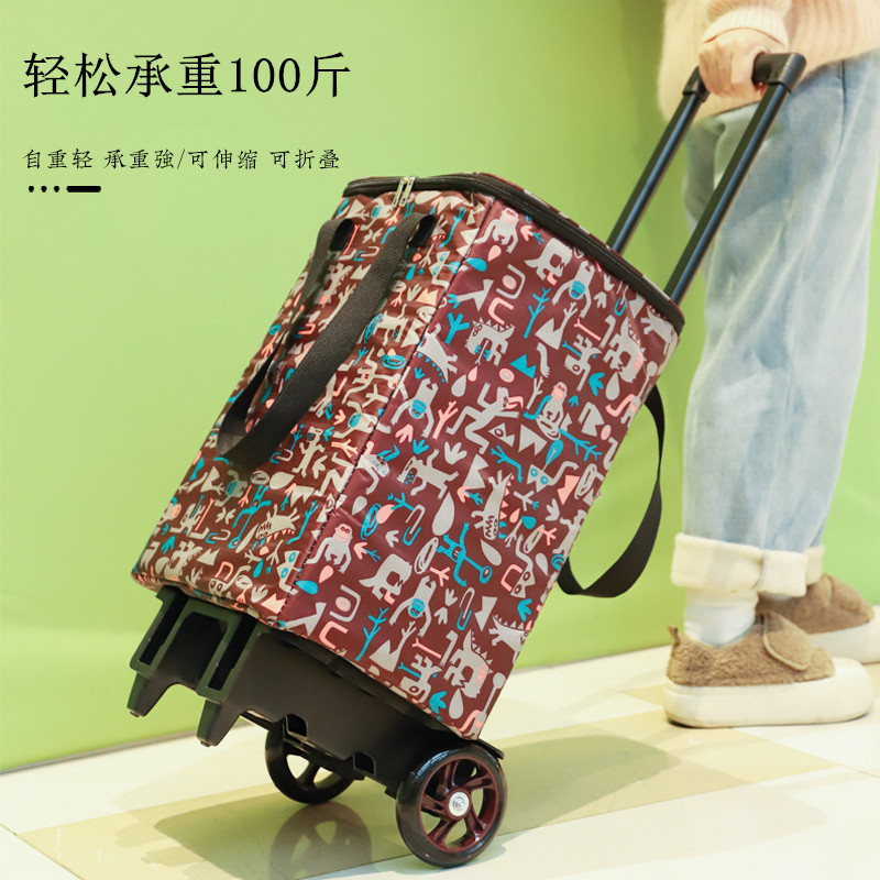 Jual Shopping Home Shopping Cart Foldable Trolley Pull Goods Small ...