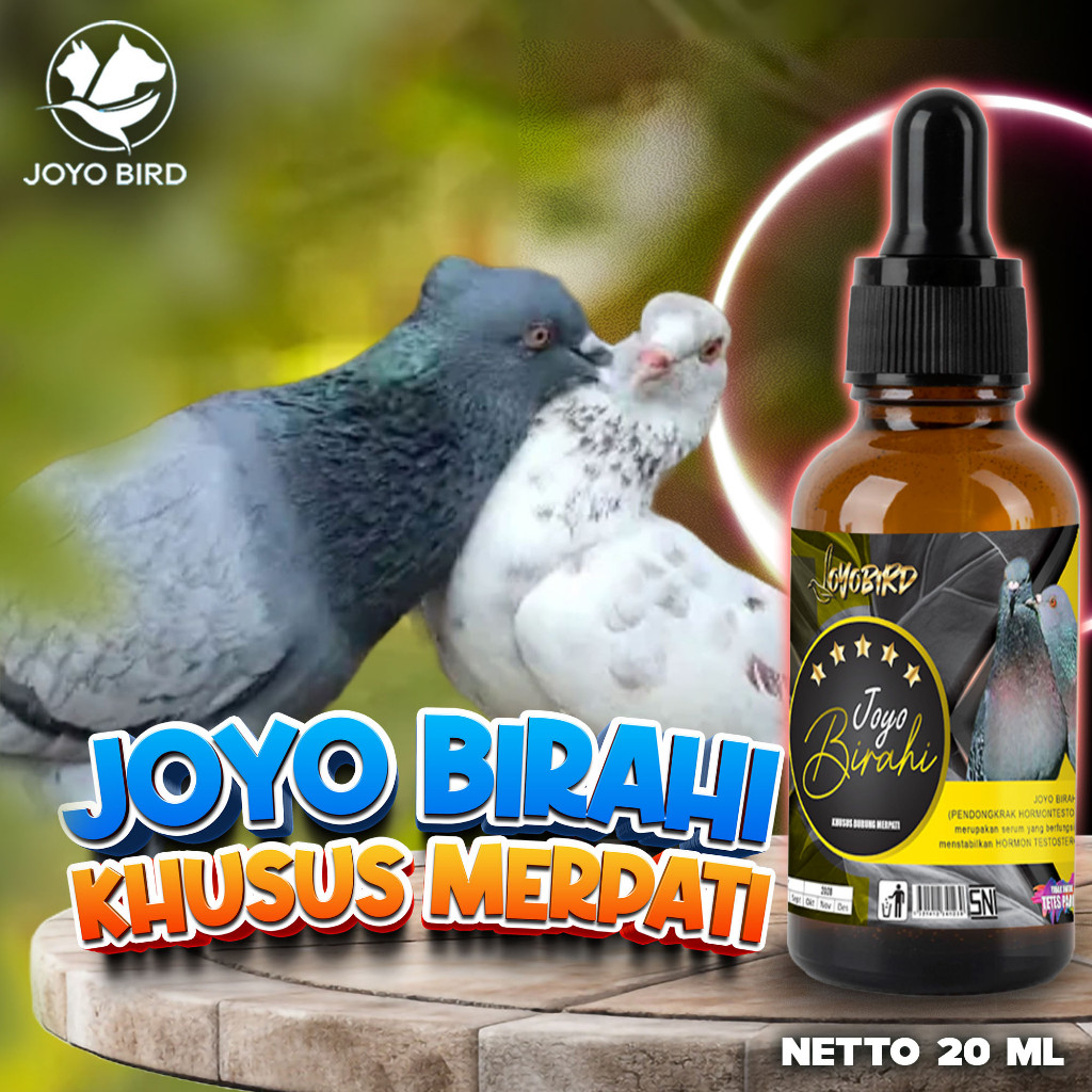 Jual OBAT BURUNG PENDONGKRAK BIRAHI | OBAT BURUNG | VITAMIN BURUNG ...