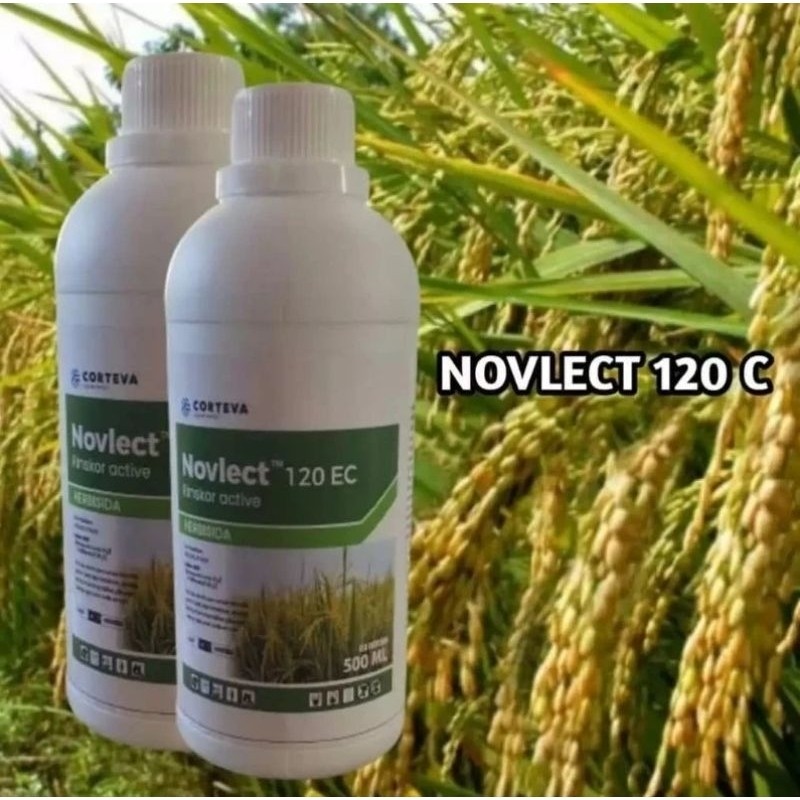 Jual Herbisida NOVLECT 120 EC 500 ML Pengendalian Gulma Tanaman Padi ...