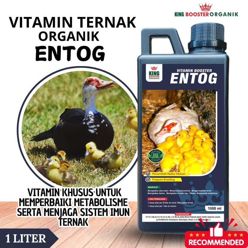 Jual Vitamin stress unggas ENTOG / ENTOK , Mempercepat Pertumbuhan ...