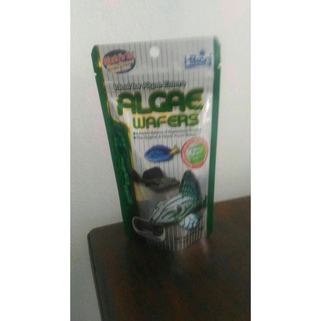 Jual Hikari Algae wafers pakan ikan hias pleco dan ikan laut | Shopee ...