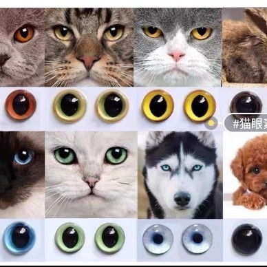 Jual Realistic Cat eyes Mata boneka kucing glass cabochon eyes | Shopee ...
