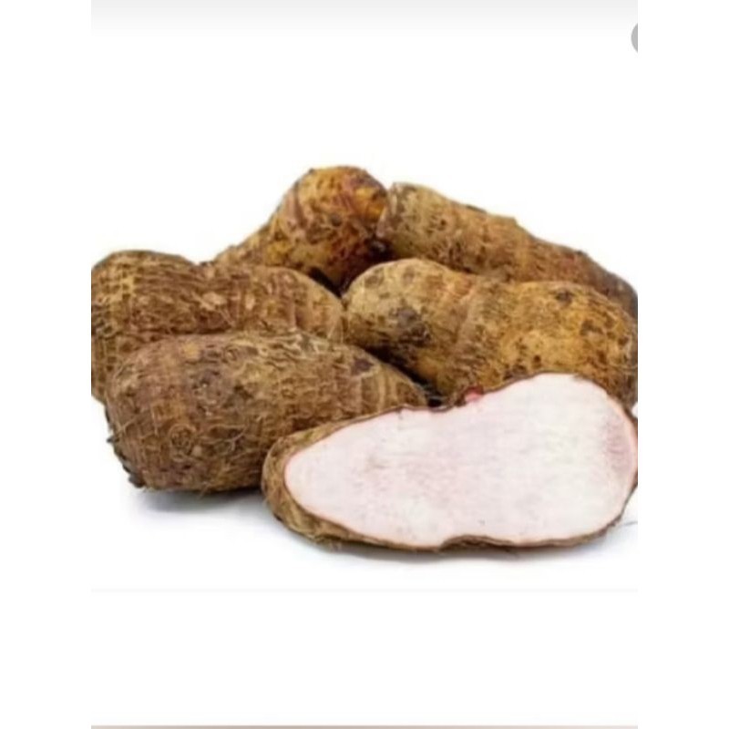 Jual talas kimpul segar dan pulen ready stok | Shopee Indonesia
