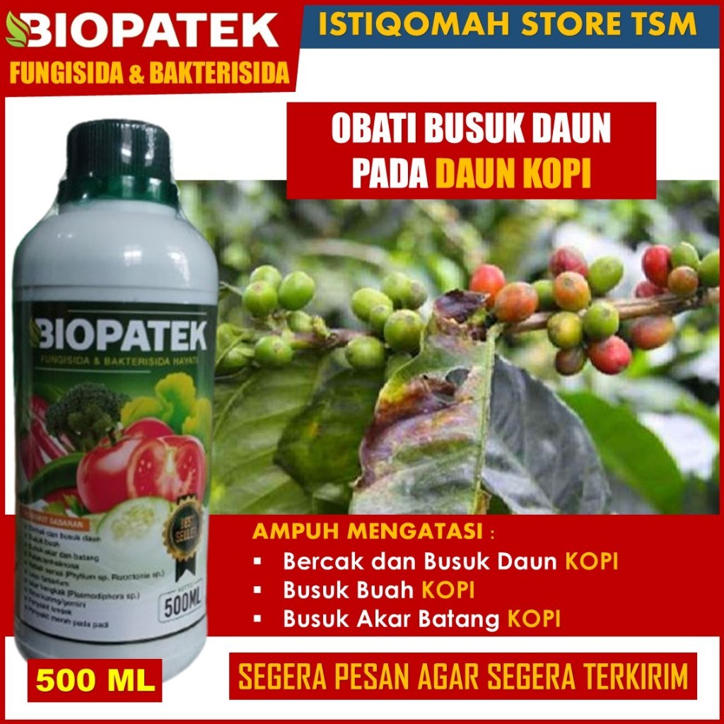 Jual BIOPATEK: Pertahanan Utama Tanaman Anda dari Serangan BUSUK Bercak ...