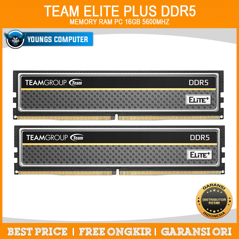 Jual RAM TEAM ELITE PLUS DDR5 16GB KIT 5600Mhz 2x8GB Elite+ Memory PC ...