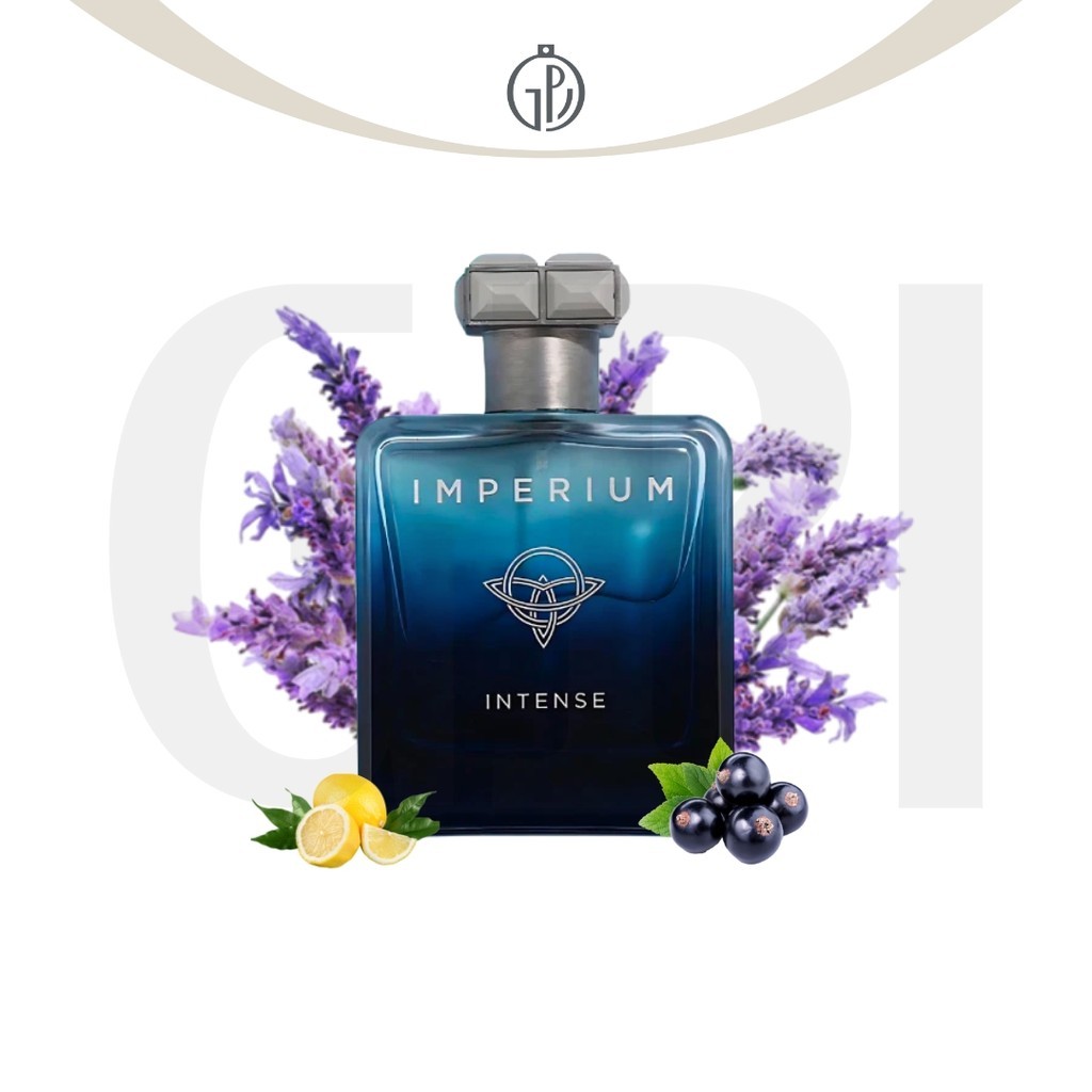 Jual Parfum Fragrance World Imperium Intense for Men EDP 100 ml ...