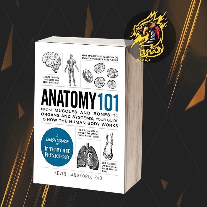 Jual Anatomy 101: From Muscles and Bones to Organs and Systems, Your ...