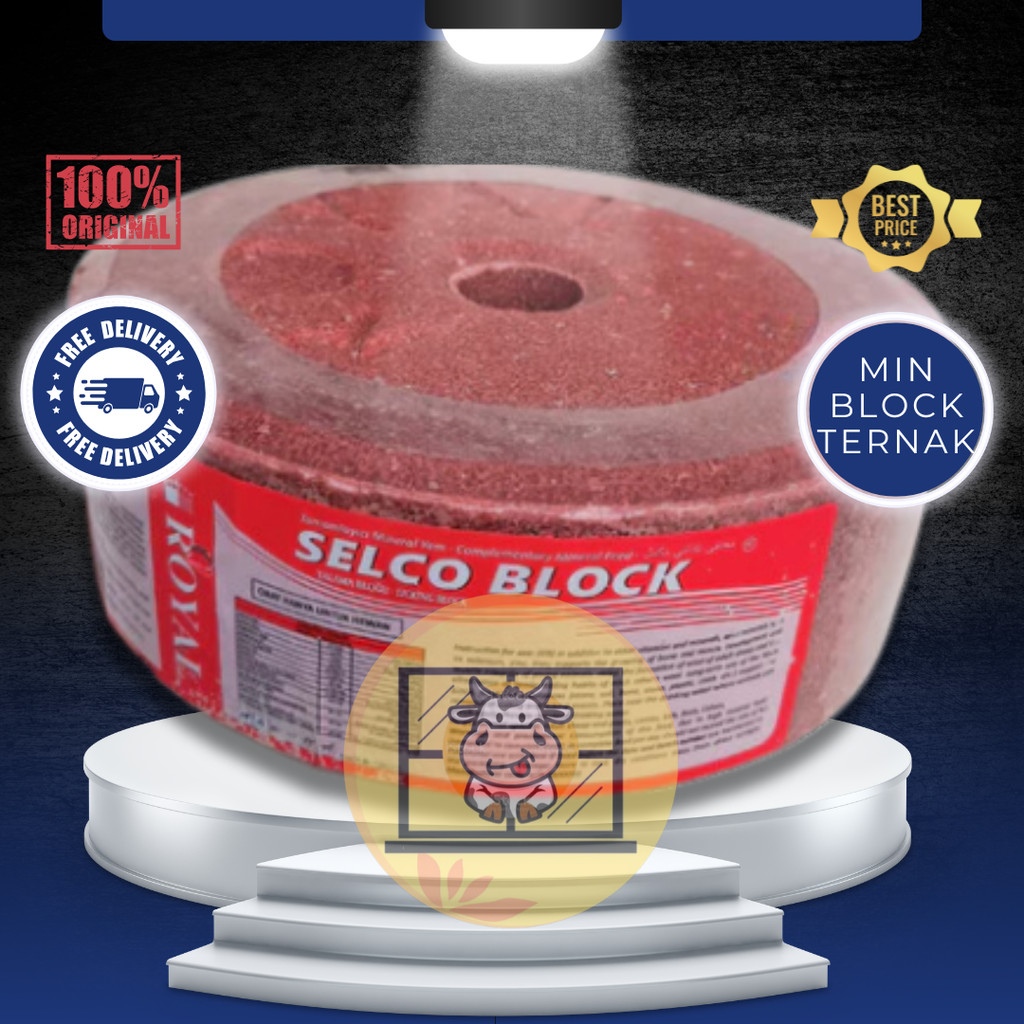 Jual SELCO BLOCK 2 KG - Mineral Blok Kambing Domba Sapi | Shopee Indonesia