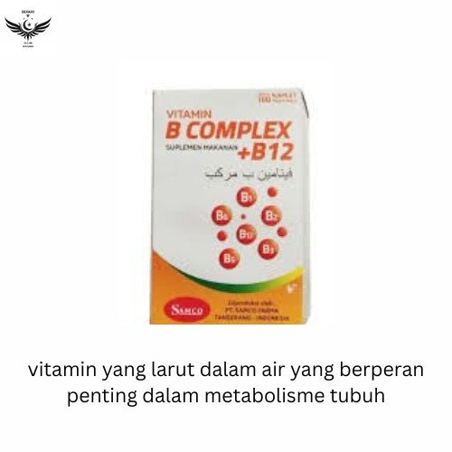 Jual Vitamin B Complex B12 Samco Isi 100 Kaplet Shopee Indonesia 4738
