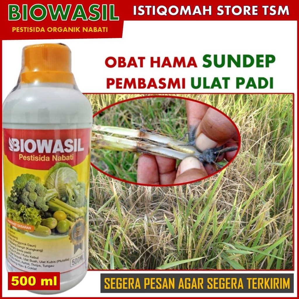 Jual REKOMENDED 500 ML BIOWASIL Pupuk Organik Anti Hama Sundep Pembasmi Ulat Padi - Pupuk ...