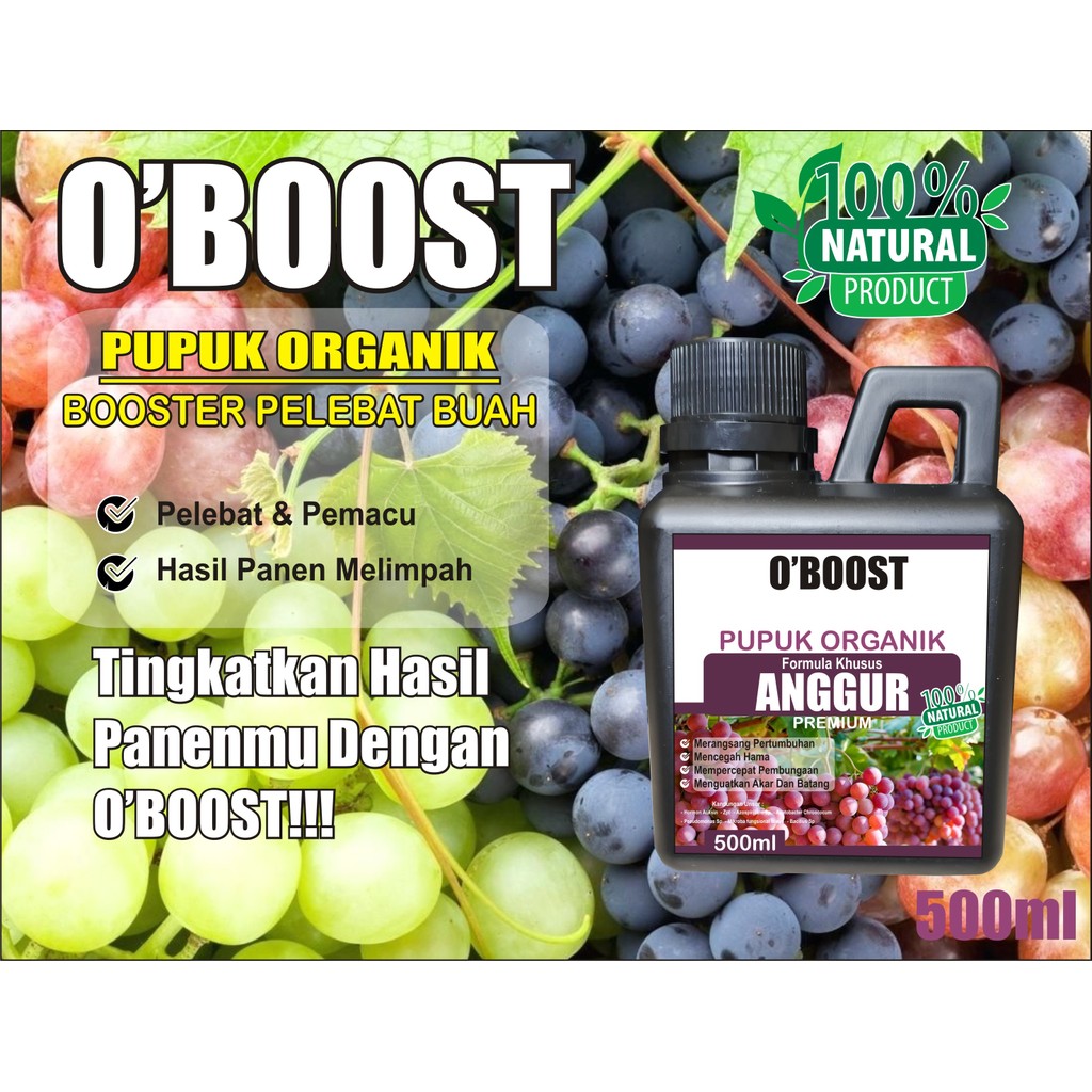 Jual O'BOOST 500ml - Pupuk Buah Anggur Kemasan 500ml | Pupuk Organik ...