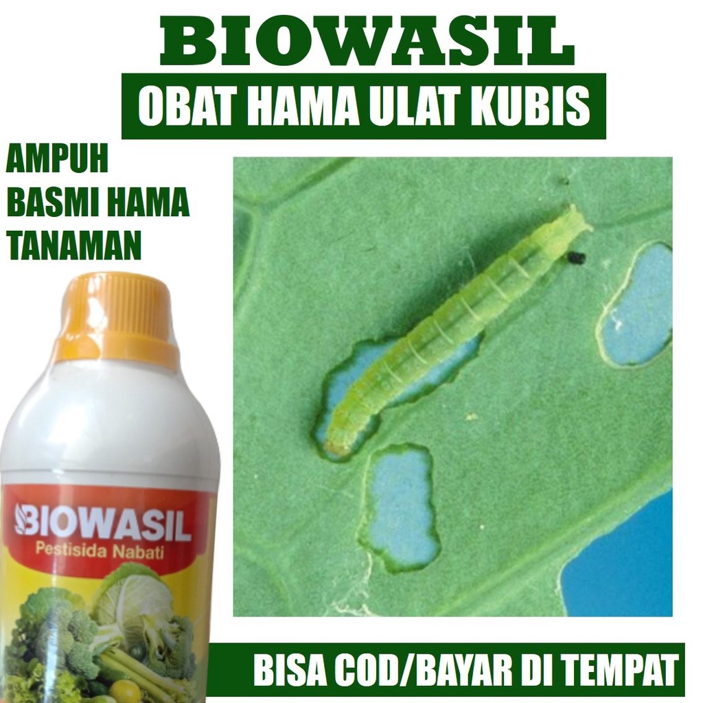 Jual BIOWASIL 500ml Pupuk Pembasmi Ulat Kubis Pada Semua Tanaman - Obat Hama Ulat Kubis Pada ...