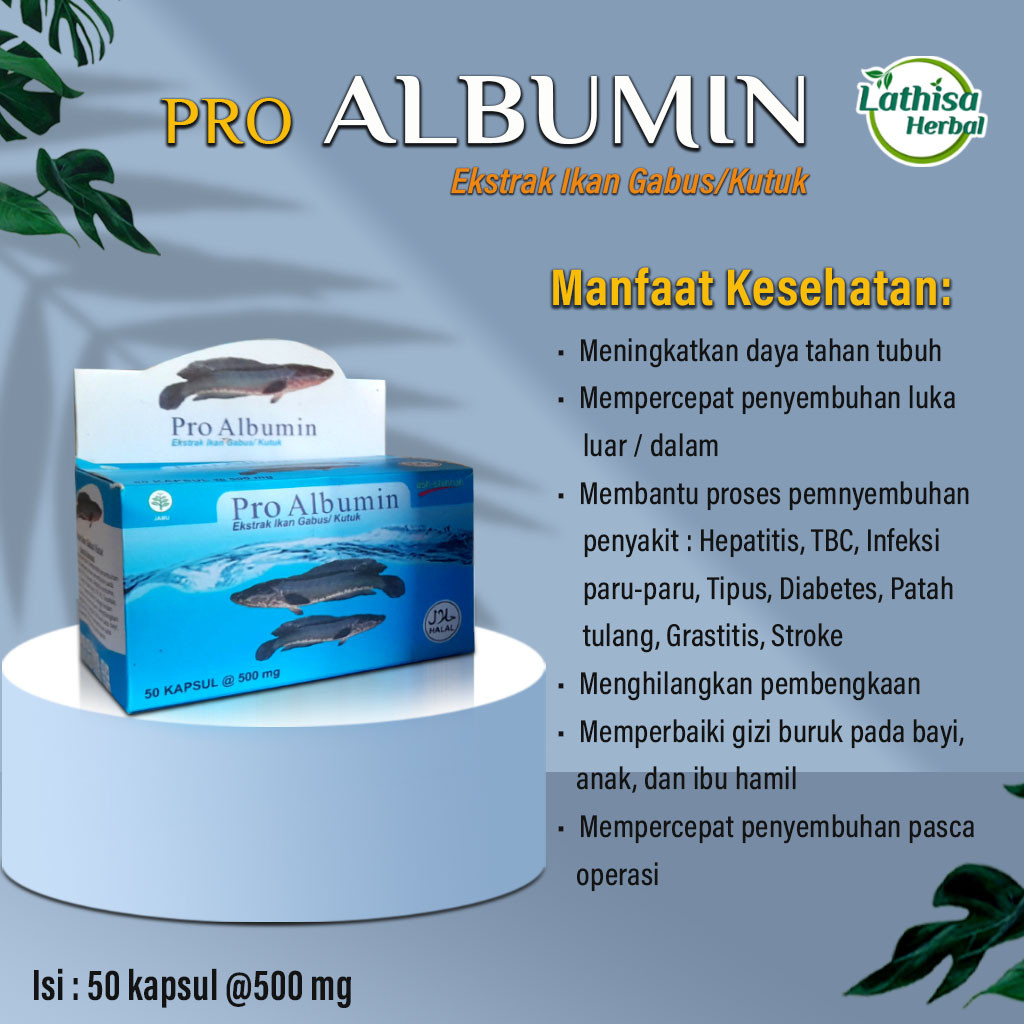 Jual Pro Albumin Kapsul Ikan Gabus Obat Pra Operasi Cesar | Shopee ...