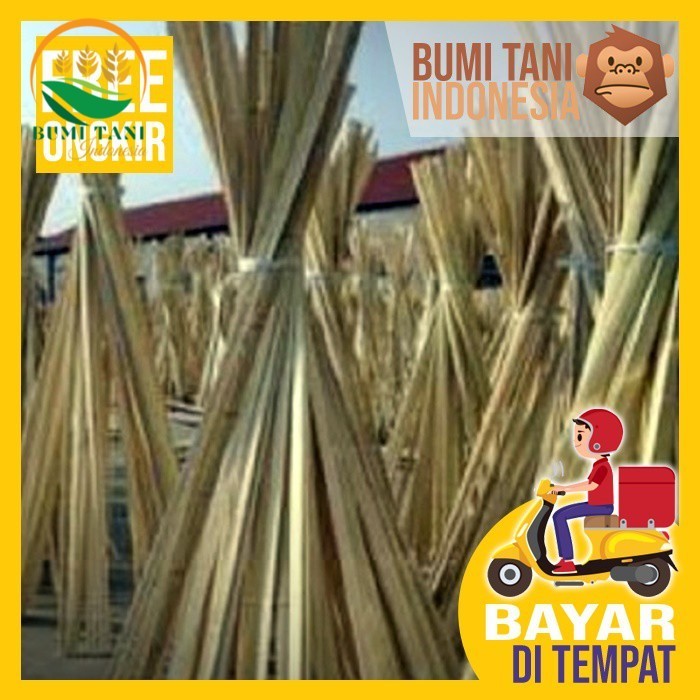 Jual bambu potong turus penyangga tanaman bilah bambu untuk tanaman 20 ...