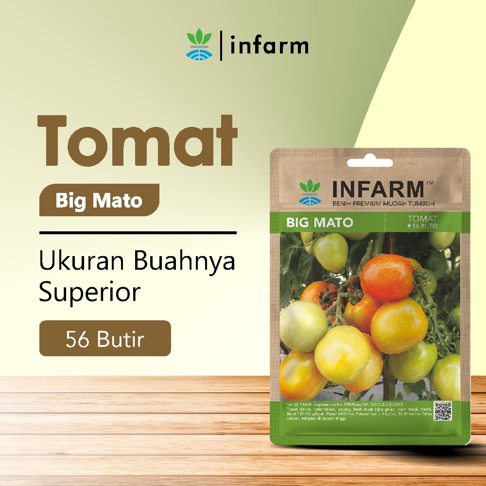 Jual INFARM - Bibit Tomat Big Mato Hibrida Benih Buah Tomat Besar Hijau ...