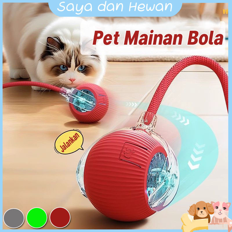 Jual NEW Pet Mainan anjing kucing Bola Interaksi cerdasBuat bola kucing ...