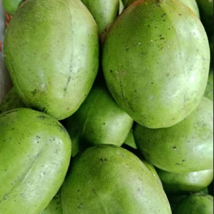 Jual Buah kedondong Bangkok jumbo fresh segar 1kg | Shopee Indonesia