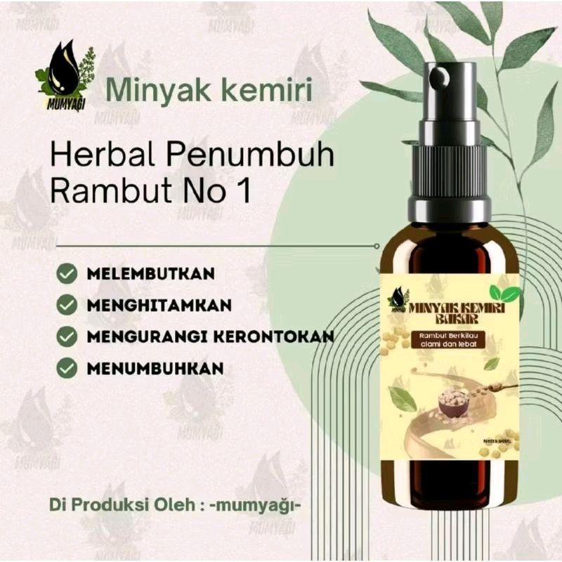 Jual Minyak Kemiri Bakar Murni | Minyak Kemiri Untuk Rambut Rontok ...