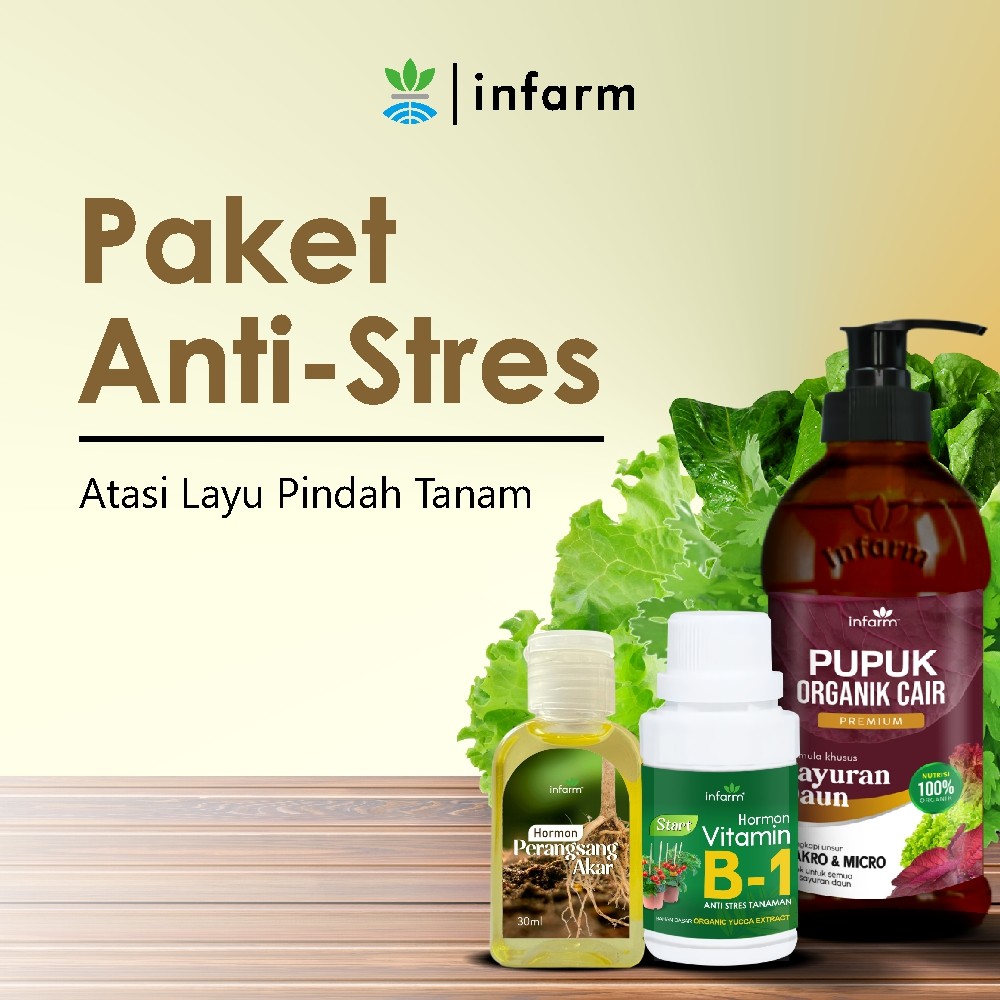 Jual INFARM - Paket Pupuk Organik Cair POC Sayur 500ml Vitamin B1 FREE ...