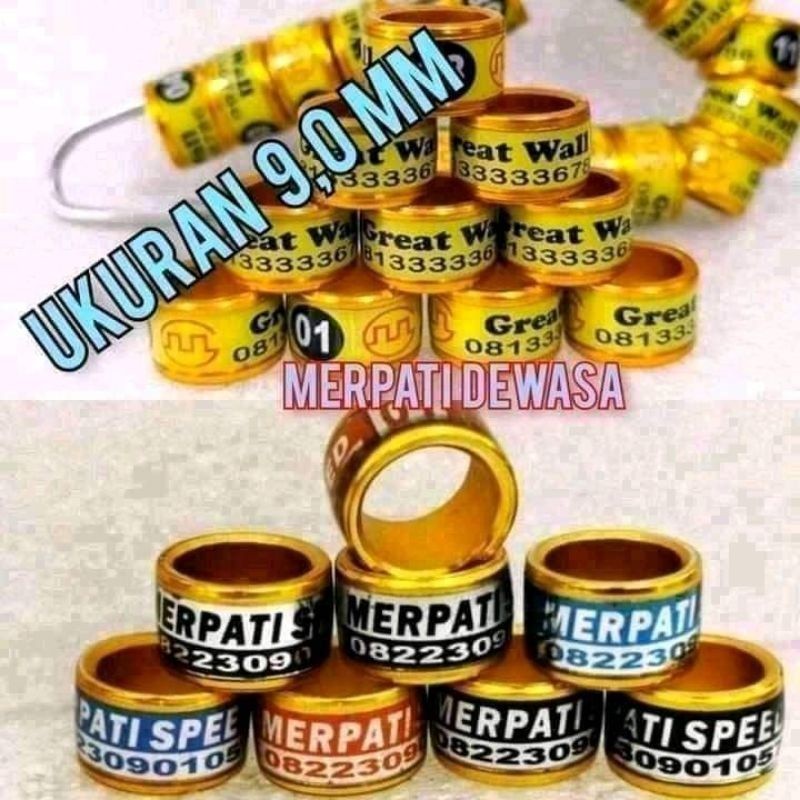 Jual RING MERPATI DEWASA MODEL RODA DIAMTER LUBANG 9mmmurah screp rhn ...