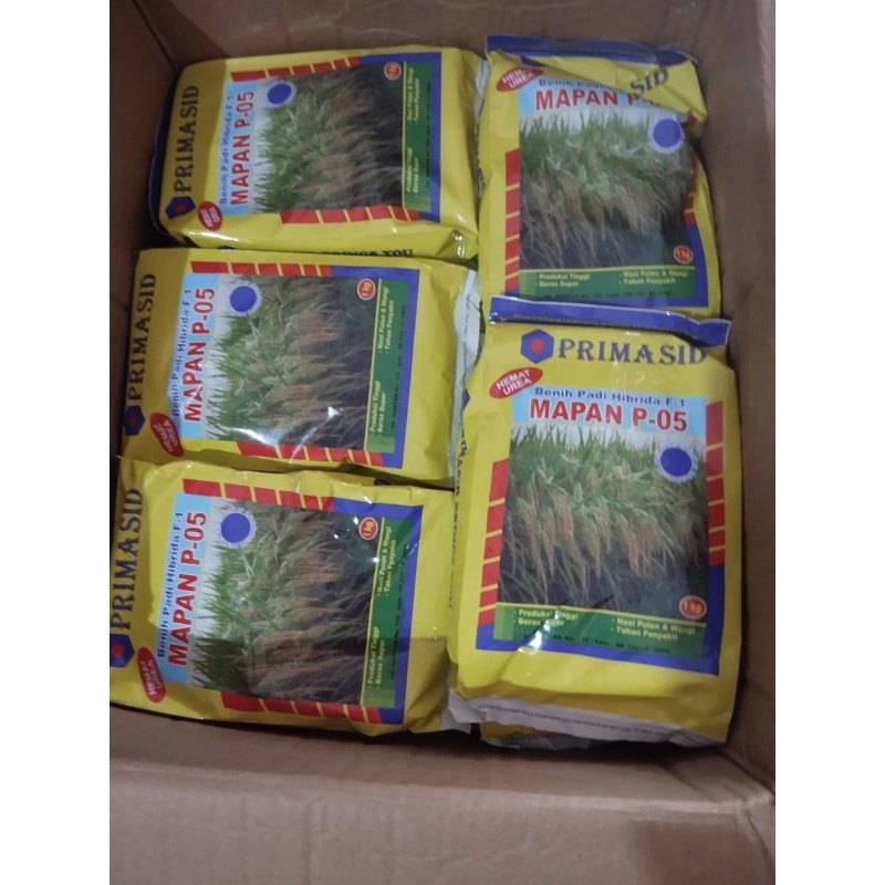 Jual Benih padi Mapan P 05 di jamin ORI exp bulan 5 2025 (1 dus isi 20 ...