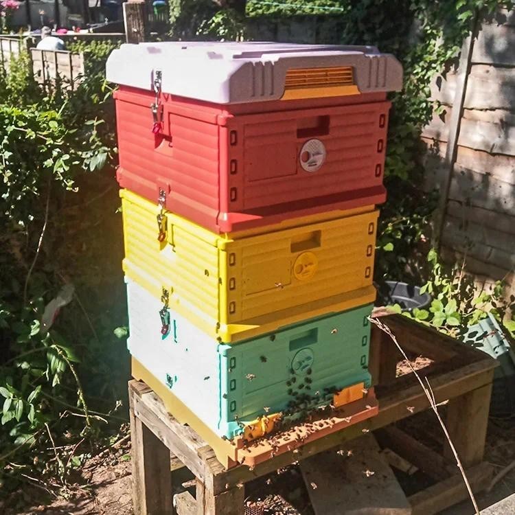 Jual HDPE Langstroth 3 Layer 10 Frame Beehive Thermal Plastic Insulated ...