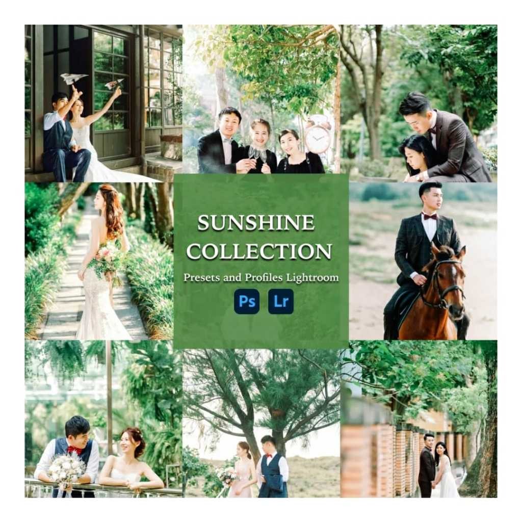 Jual Sunshine Collection - Preset and Profiles Lightroom | Shopee Indonesia