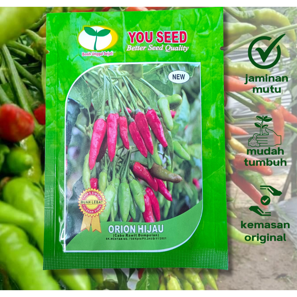 Jual Benih Cabe Rawit Dompolan ORION HIJAU 10 gr Bjii Bibit You Seed ...