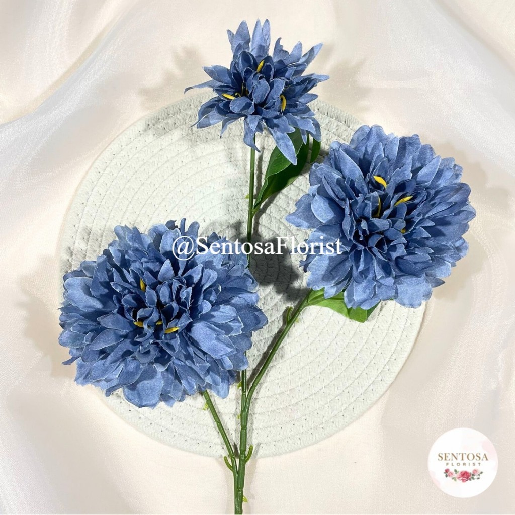 Jual Bunga Carnation Cabang 3 Tangkai Panjang Bunga Sudut Bunga ...