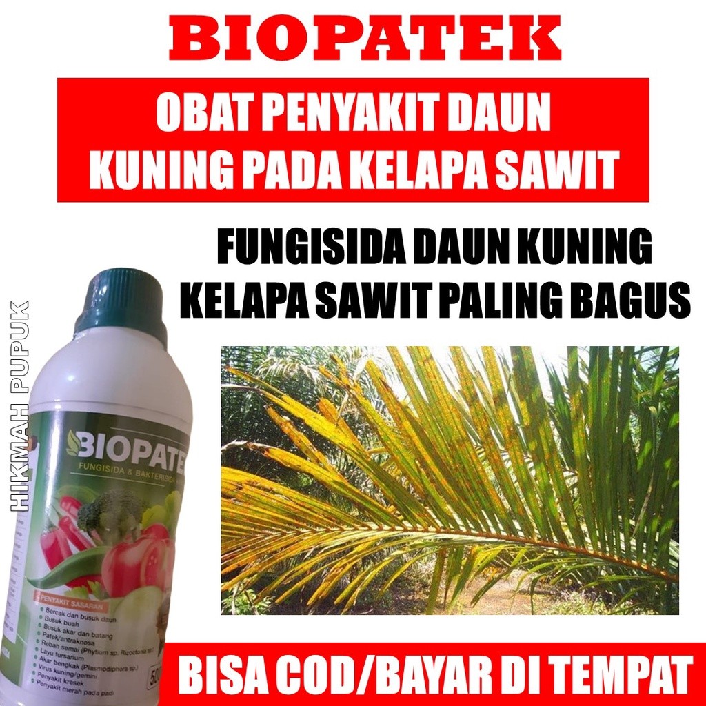 Jual BAYAR DI TEMPAT FUNGISIDA PENYAKIT DAUN KUNING Kelapa Sawit BIOPATEK 500 ML - Obat Daun ...