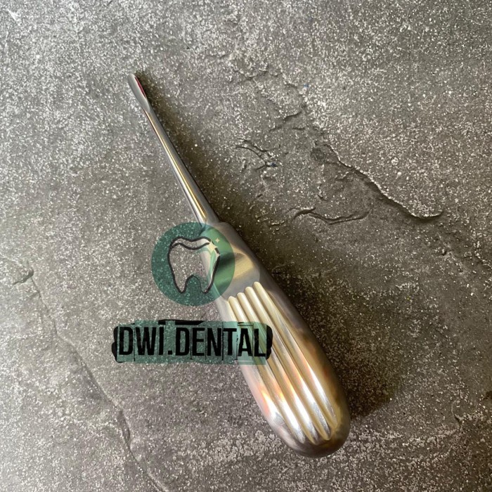 Jual Dental Bein root elevator / luxator / alat cabut gigi schezher - 2mm schezher | Shopee ...