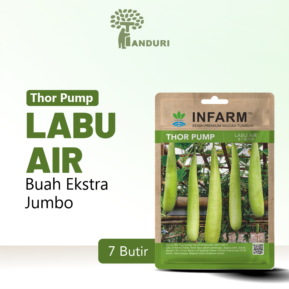 Jual Benih Bibit Biji Super Labu Air Labu Sayur | Shopee Indonesia